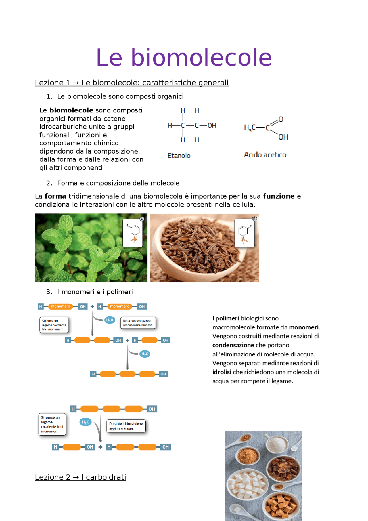 Le Biomolecole Generali E Specifiche Schemi E Mappe Concettuali Di