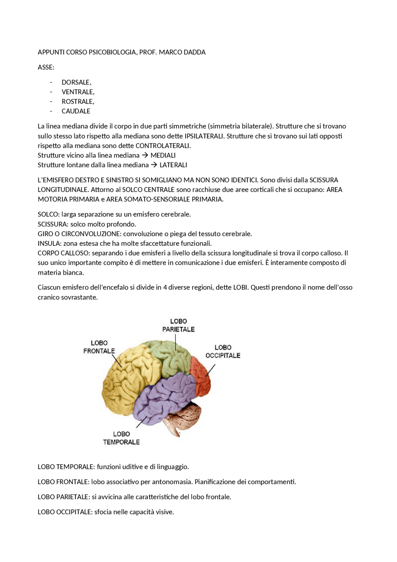 Riassunto Psicobiologia Docsity