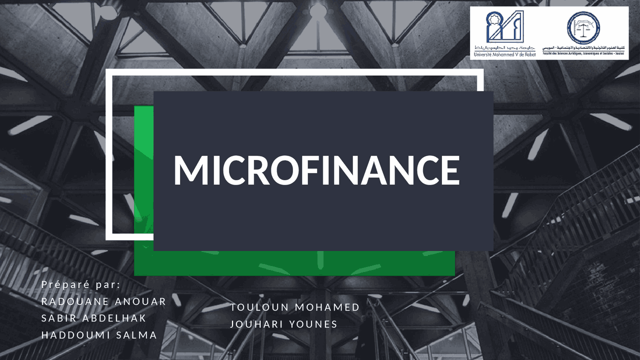 présentation la micro finance | Schemes and Mind Maps Microfinance ...