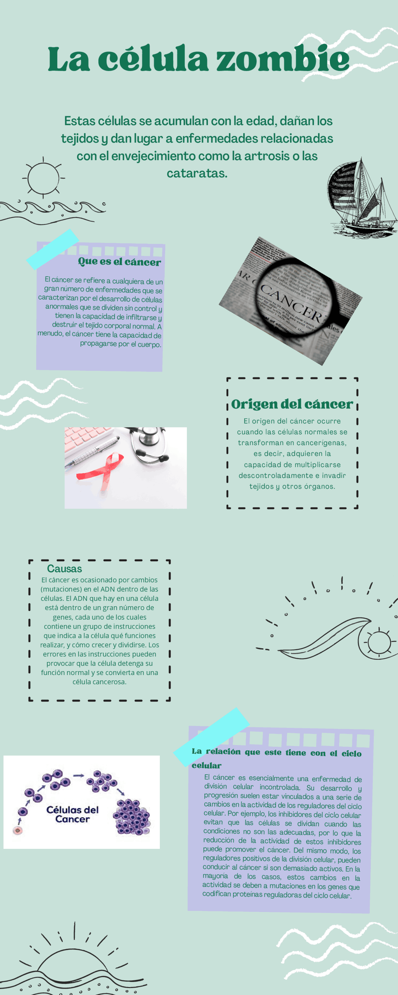 Infografía De La Célula Apuntes De Biología Docsity