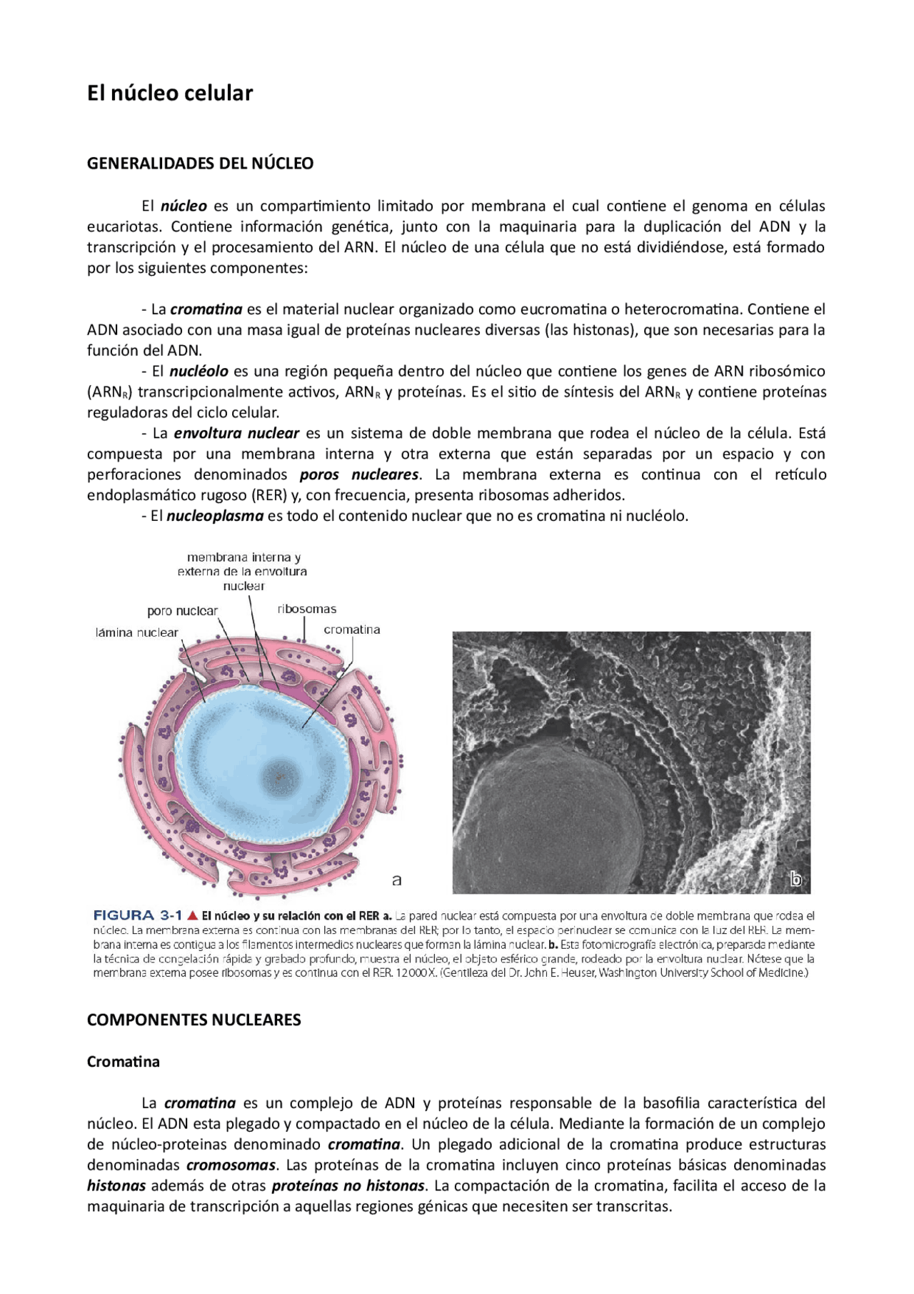 COMPONENTES NUCLEARES y SUS GENERALIDADES - Docsity