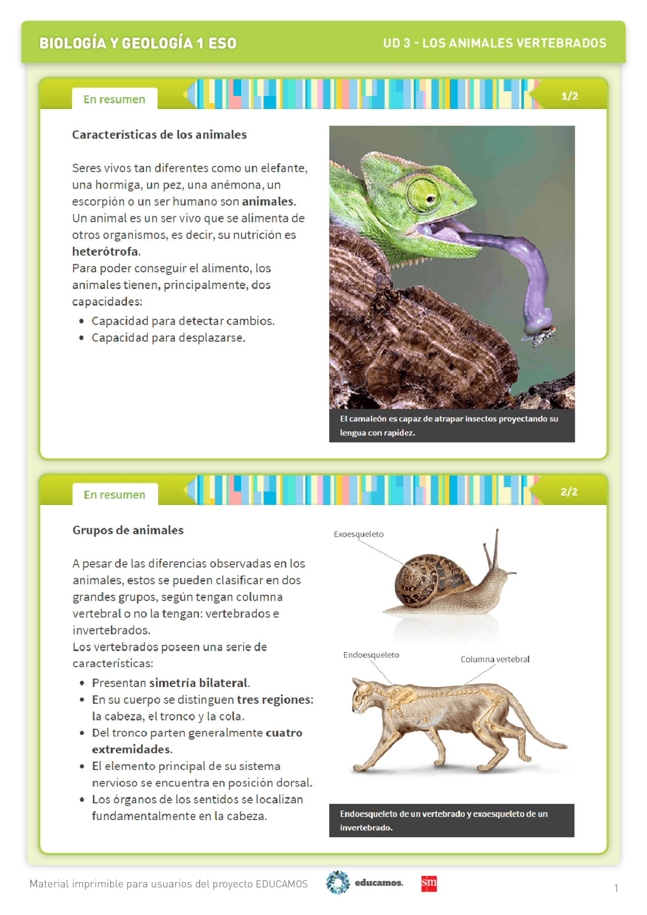 Los animales vertebrados - Docsity