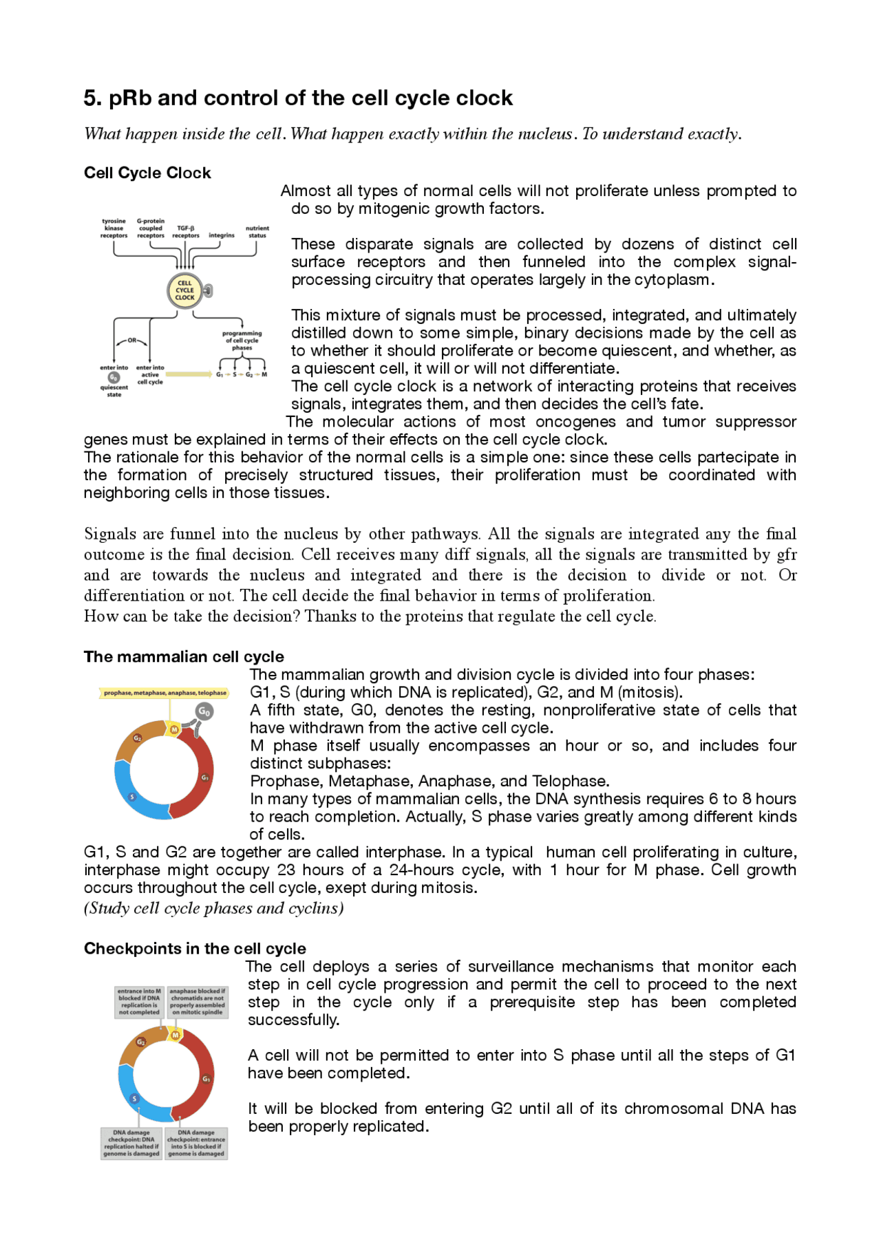 PRb and the control of the cell cycle clock (colored, photos and ...
