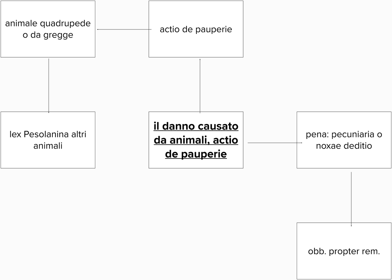 Actio De Paupere Mappe Concettuali Per Dsa Diritto Romano Con Donadio