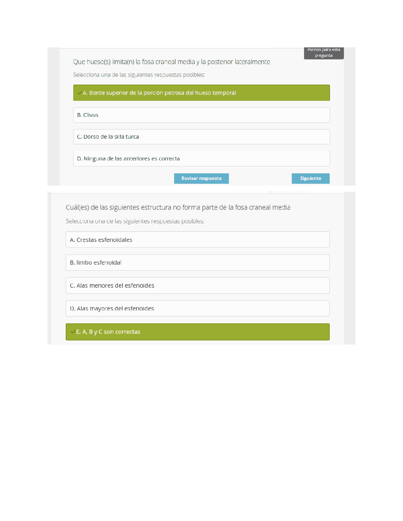 Quiz De Autoevaluación Docsity