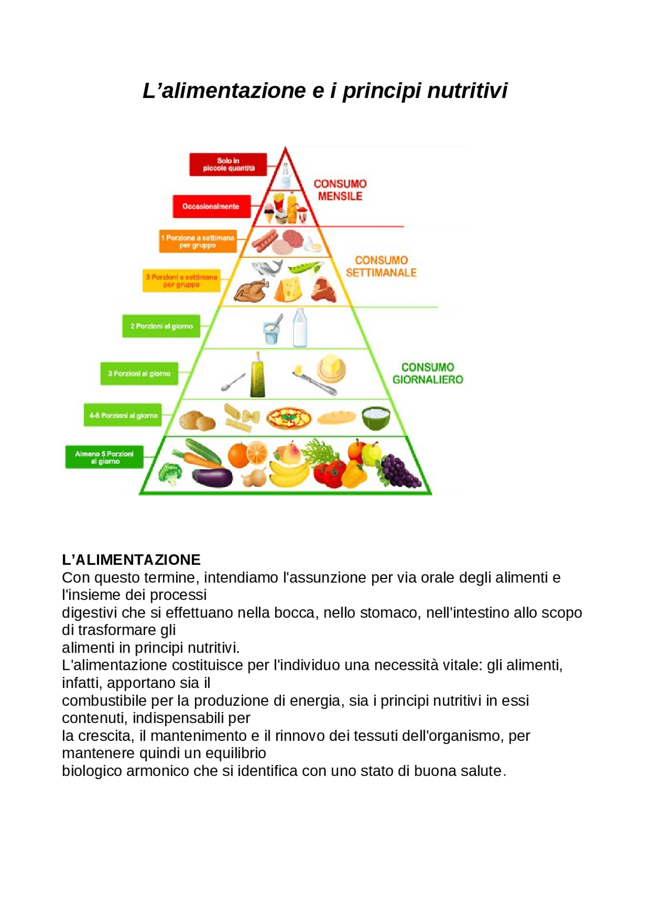 Appunti Su Alimentazione E Principi Nutritivi Docsity