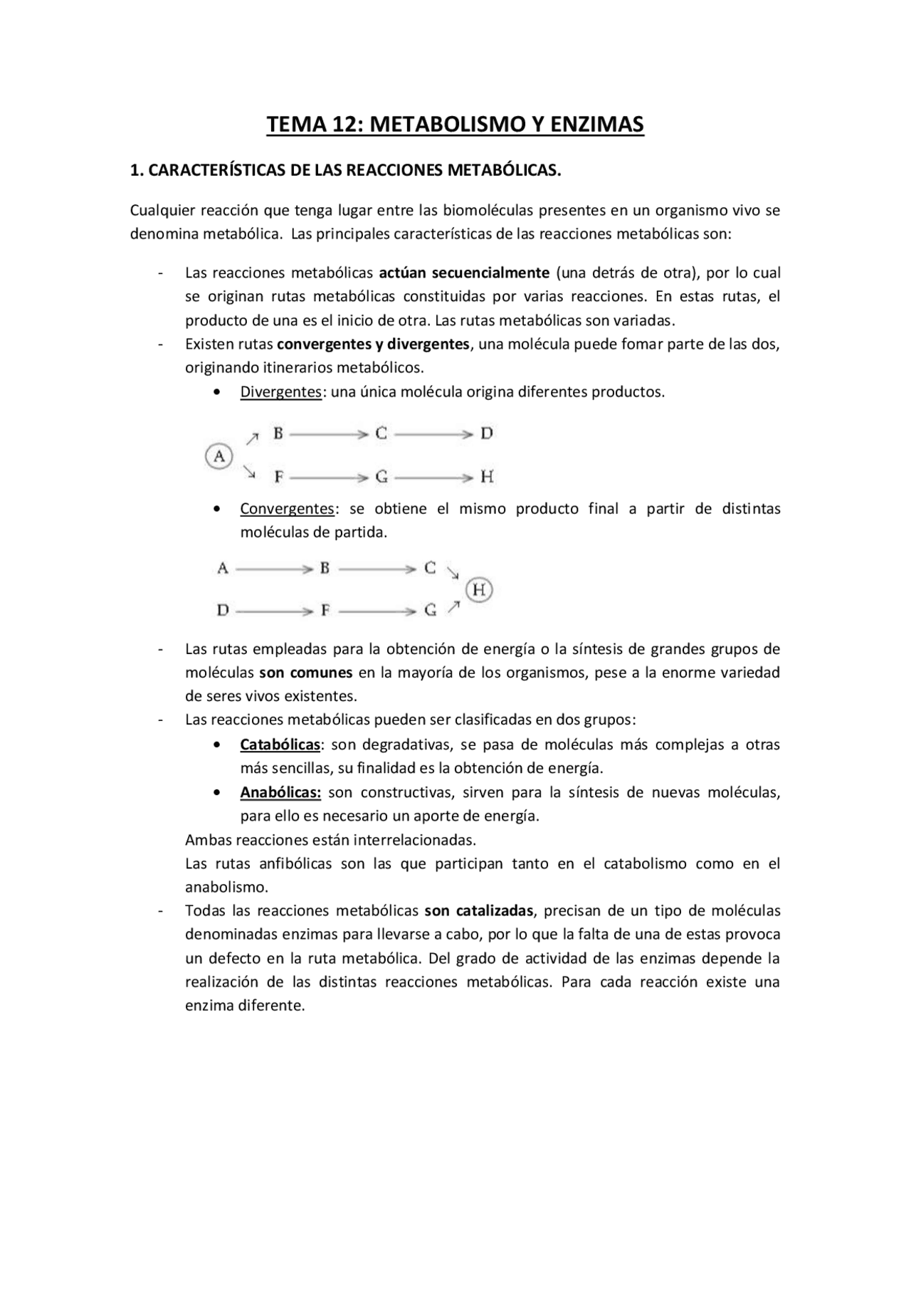 Tema 12 Metabolismo Y Enzimas Docsity