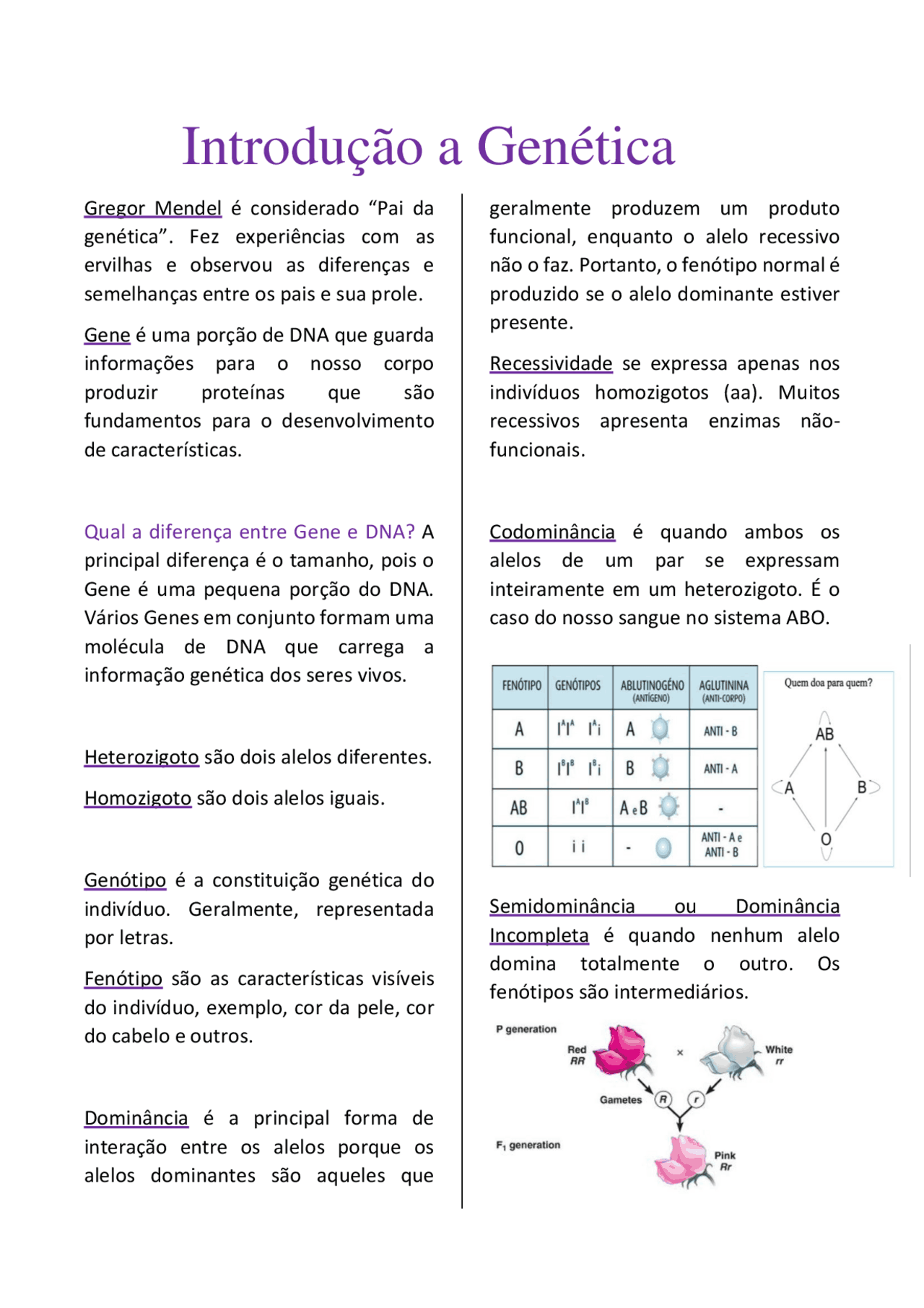 Conceitos Básicos E Importantes Docsity
