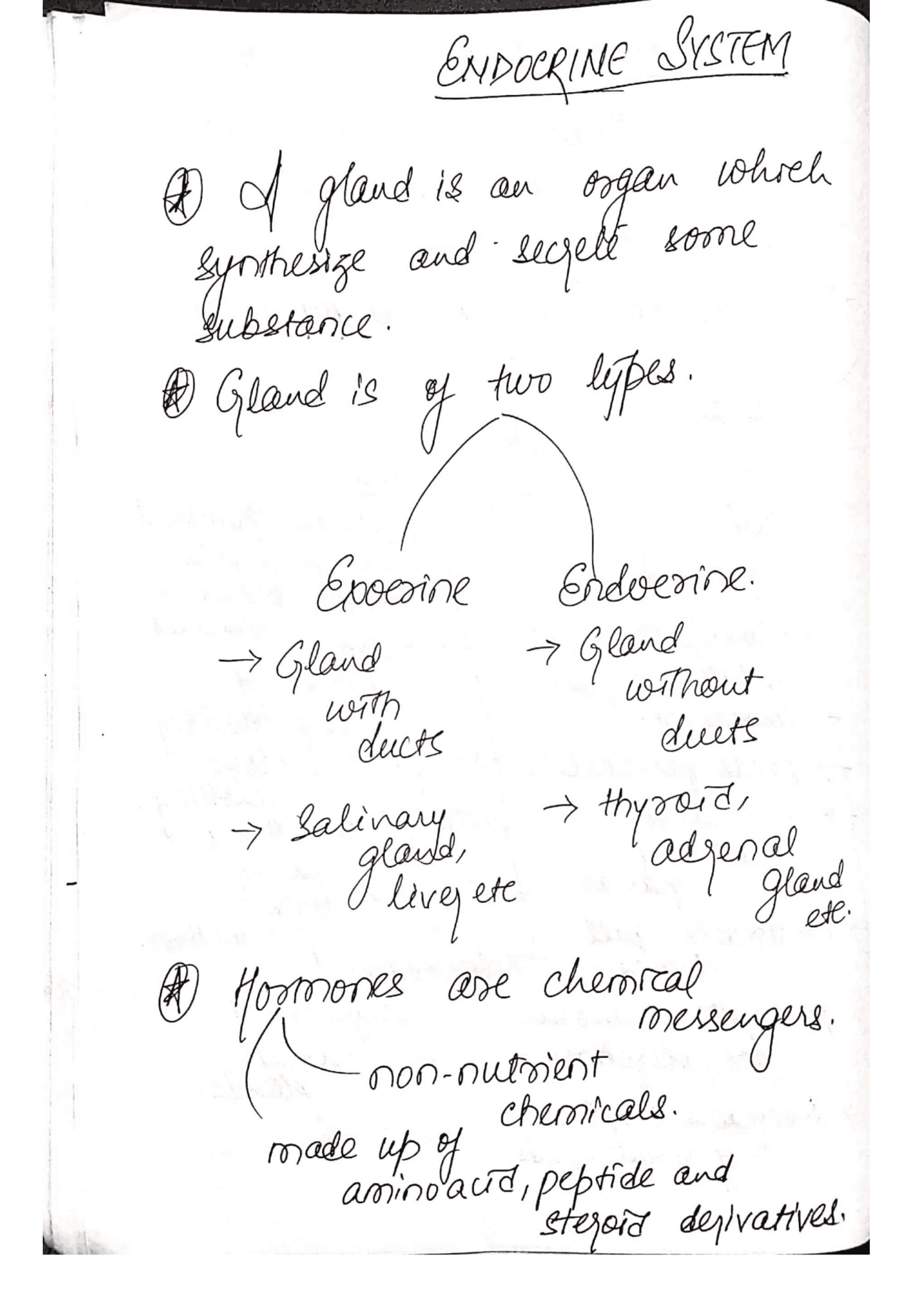 Biology - Endocrine System Handwritten Colorful Complete Notes - Docsity