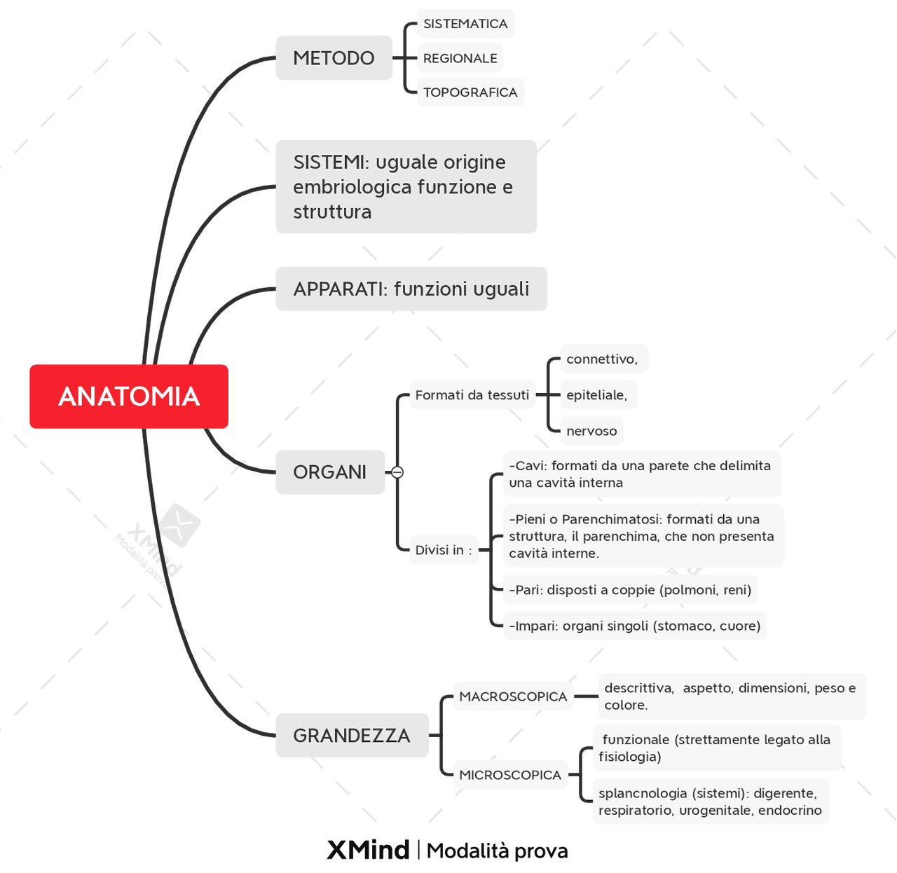 Mappa Concettuale di Anatomia - Docsity