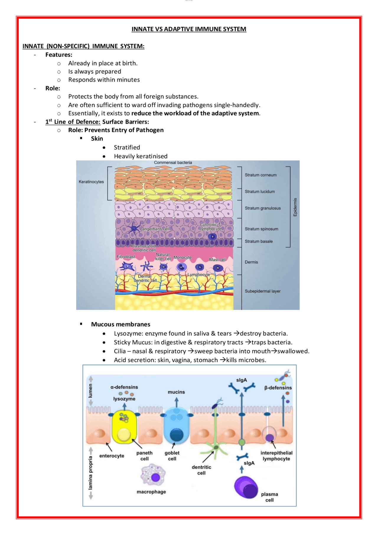 Biology - Immunology - Innate Vs Adaptive Immune System Class Lecture ...