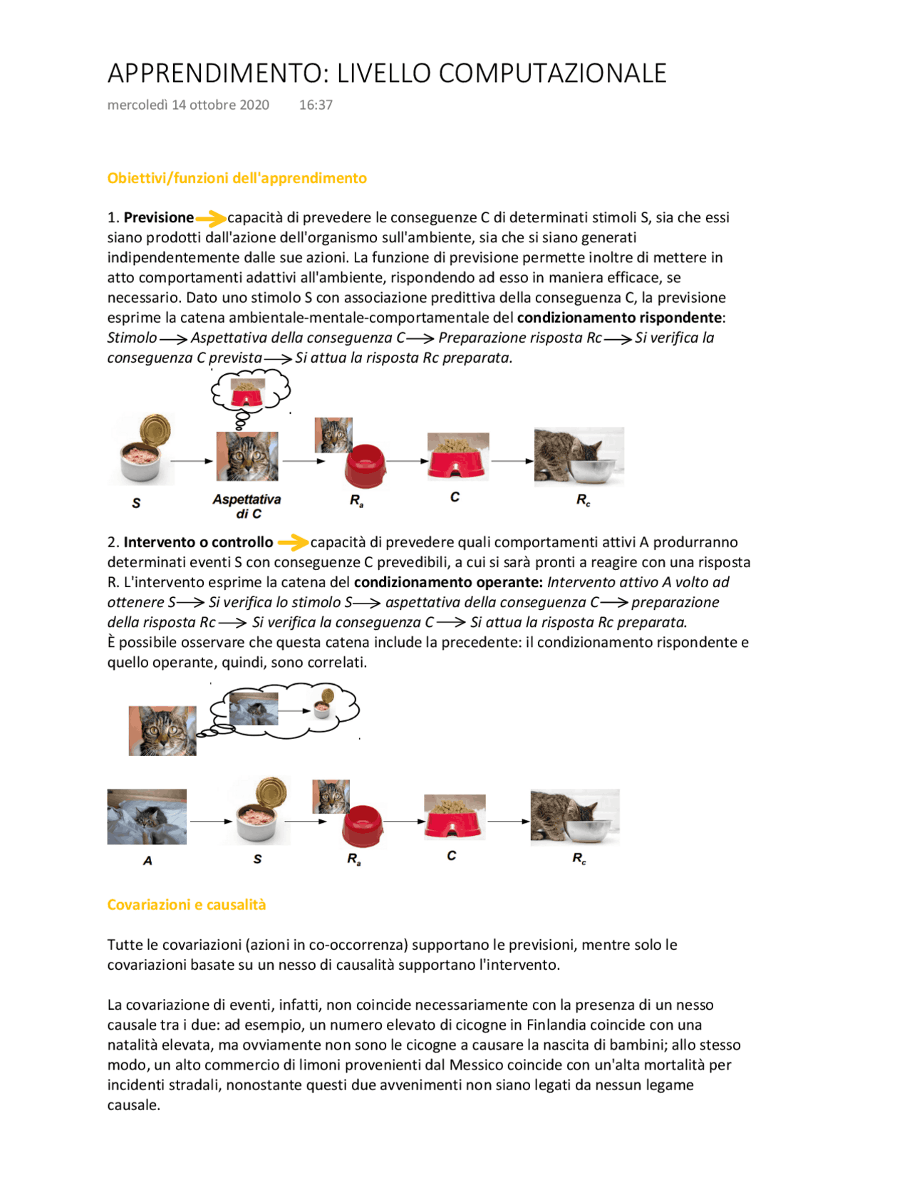 Apprendimento Pensiero E Decisione Apprendimento Livello Algoritmico