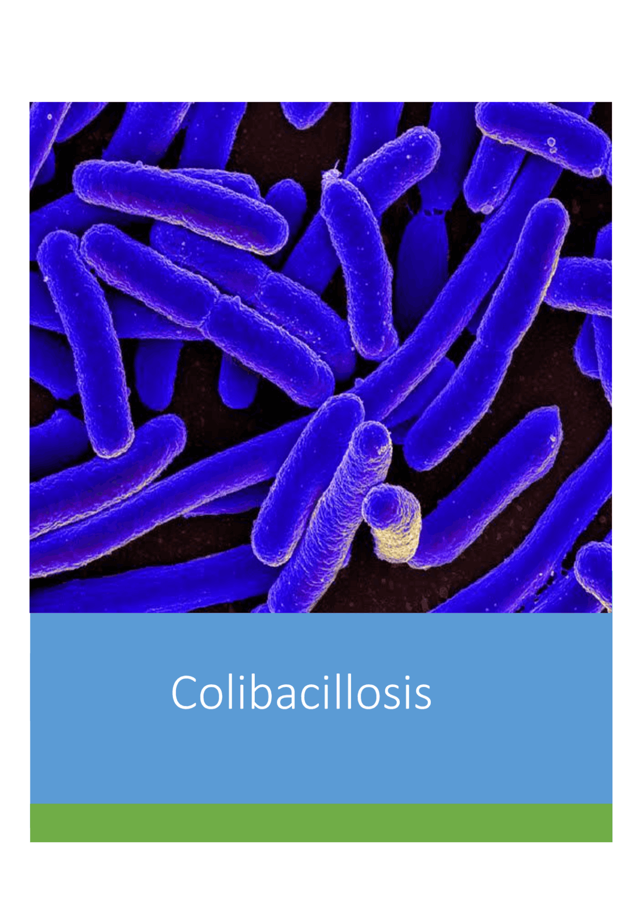 Colibacillosis in poultry & livestock - Docsity