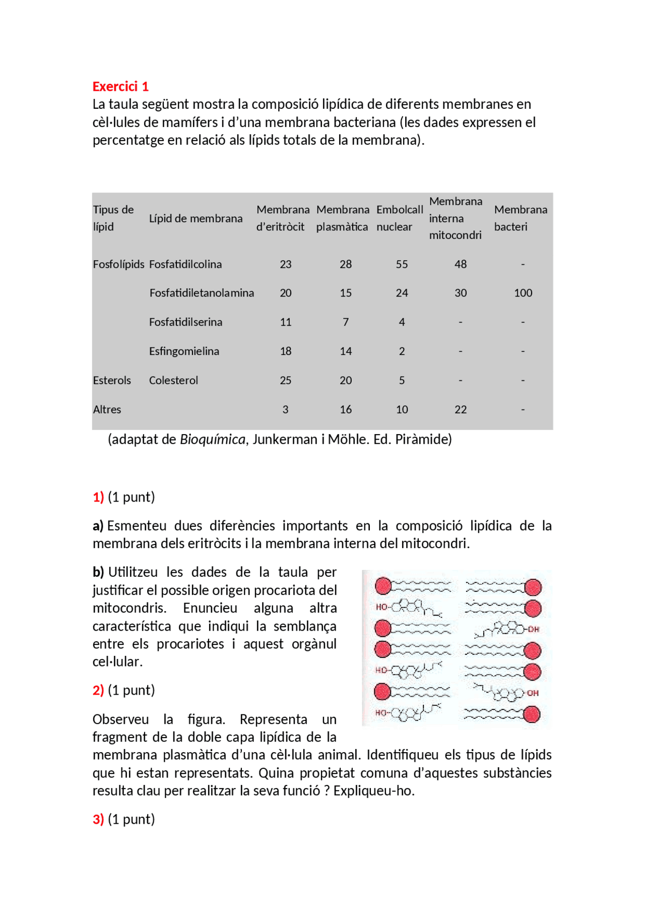 Exercicis Sobre Lípids Docsity