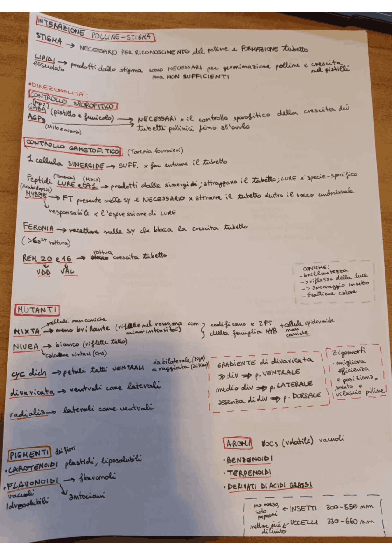 Riassunto Strategie Riproduttive Vegetale Docsity