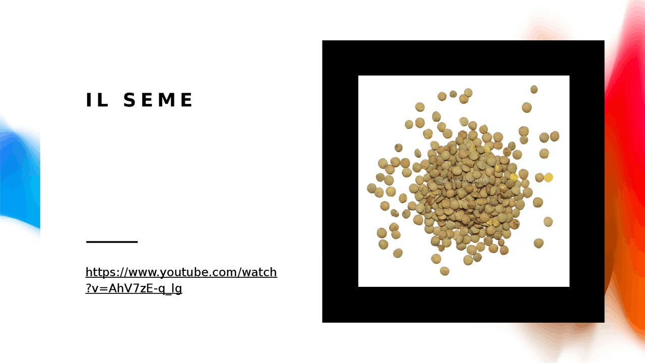 IL seme, la crescita e la riproduzione - Docsity
