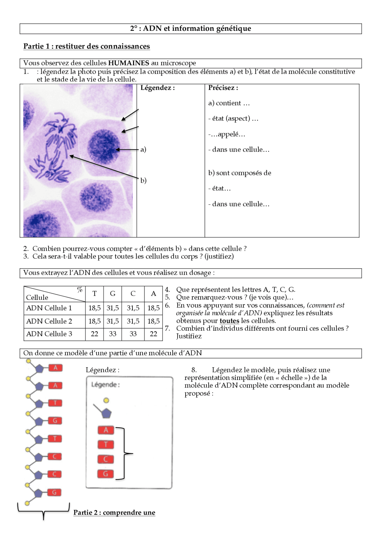 Controle tres important de l'ADN (3eme - seconde ) | Exams Biology ...