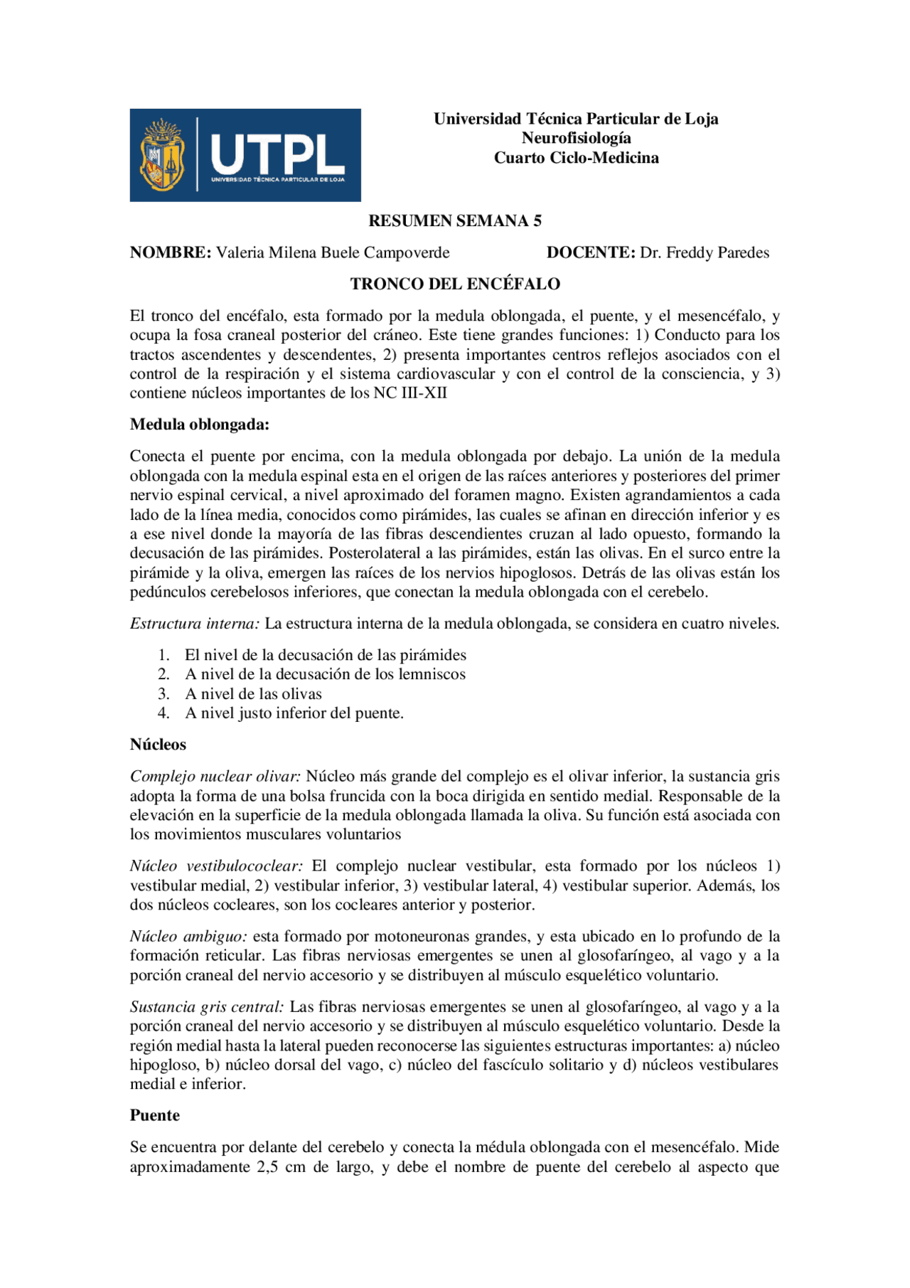 Resumenes Neuroanatomía De Snell Resúmenes De Neuroanatomía Docsity