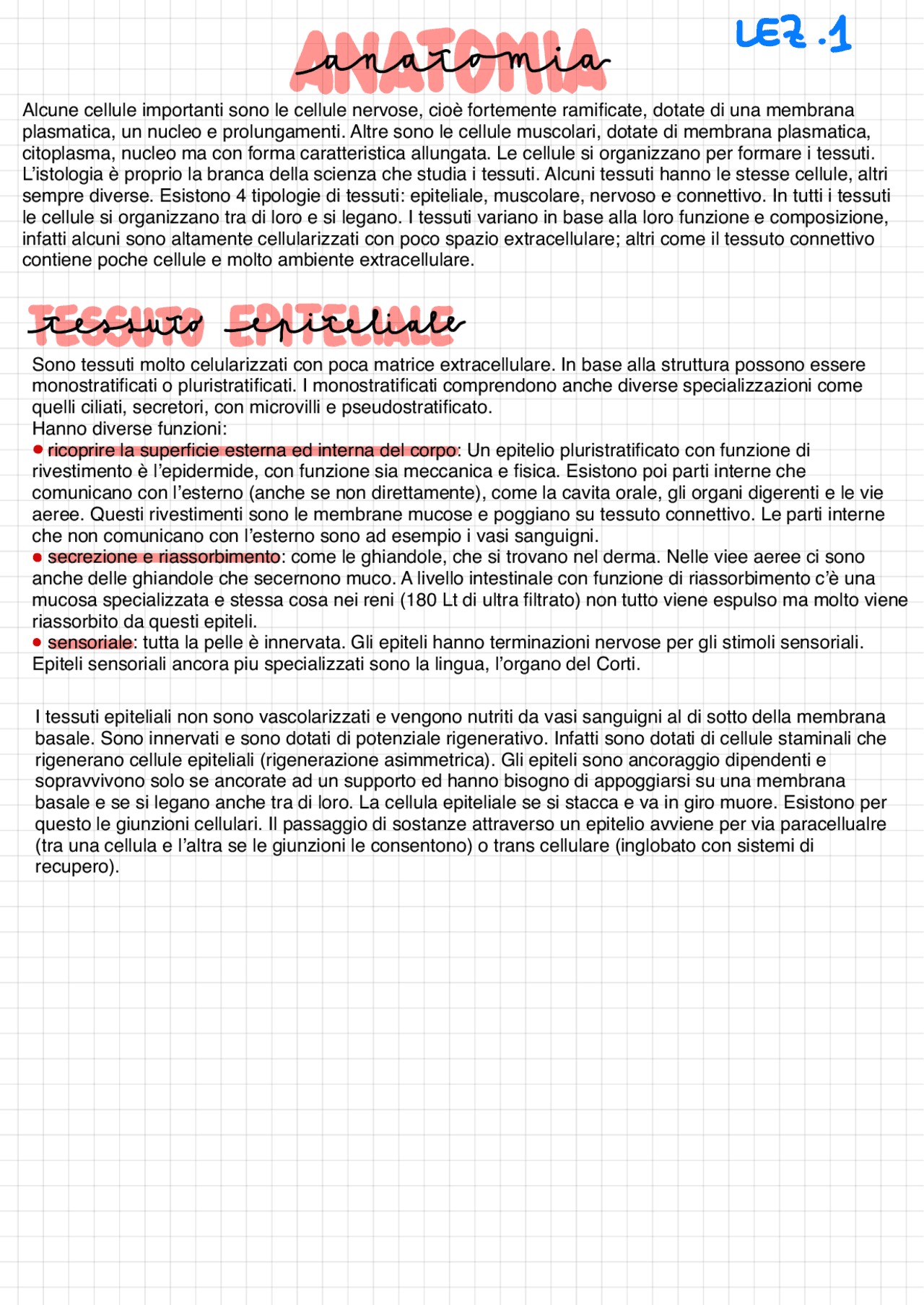 Anatomia Umana Sintesi Docsity