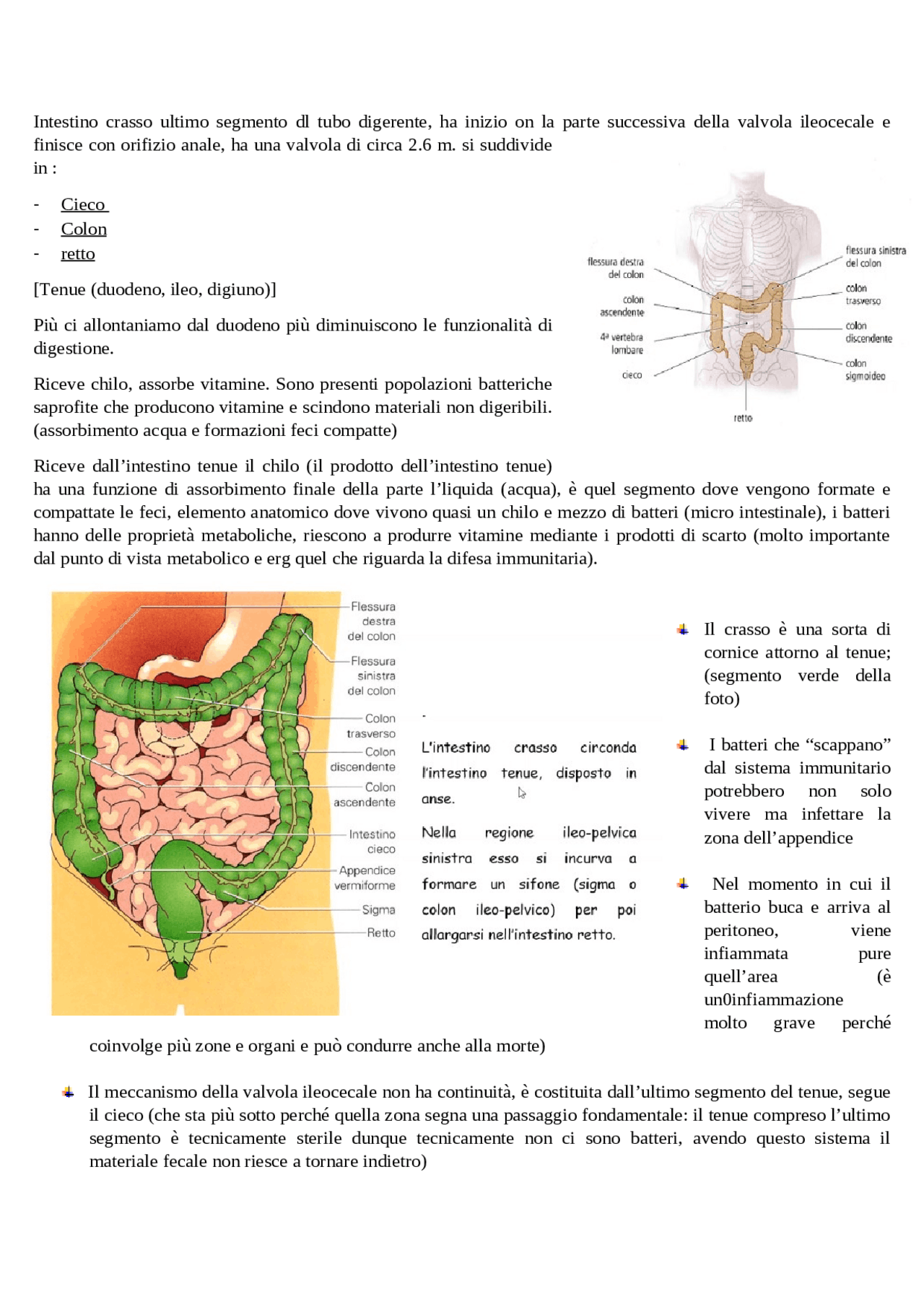 Apputni Di Anatomia Esame Infermieristica Docsity