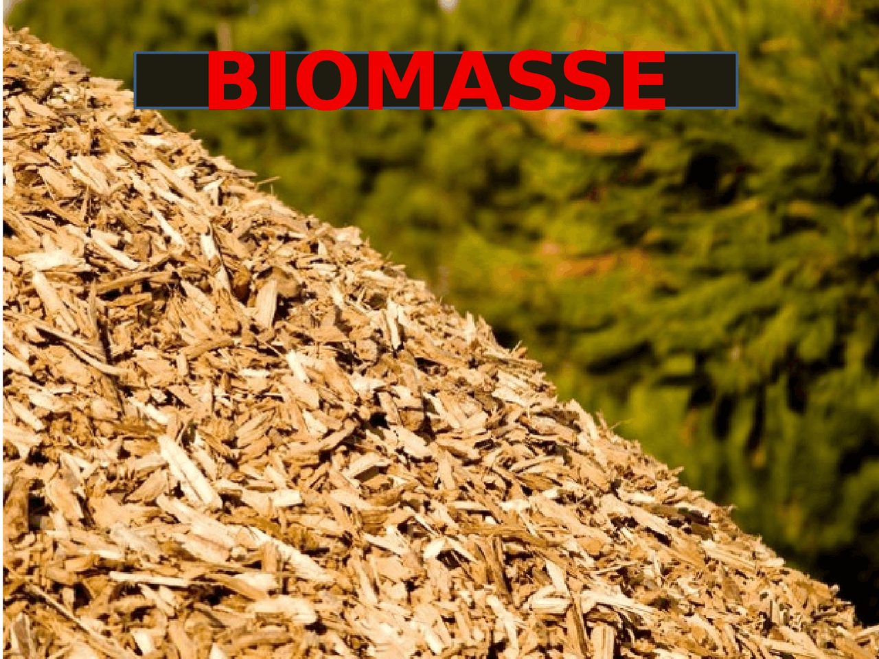 Biomasse (Energia rinnovabile) - Docsity
