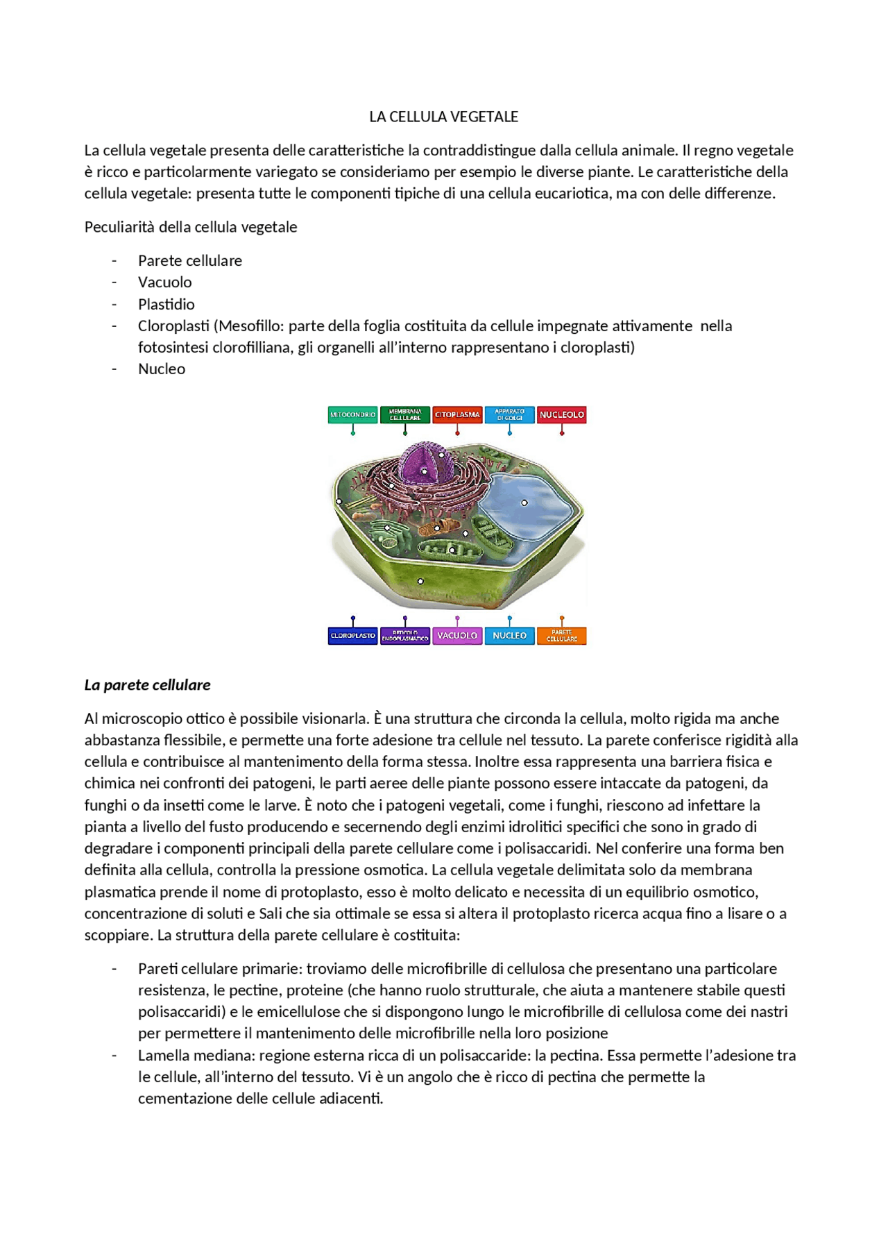 Cellula vegetale e componenti strutturali - Docsity