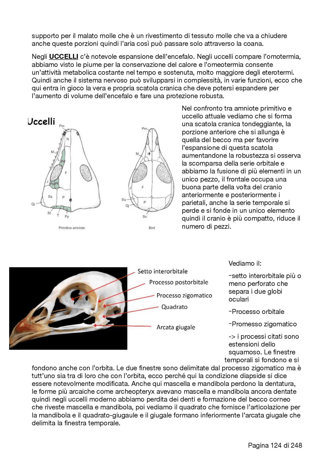 Parte 2 appunti anatomia comparata (prof. Vanzi) - Docsity