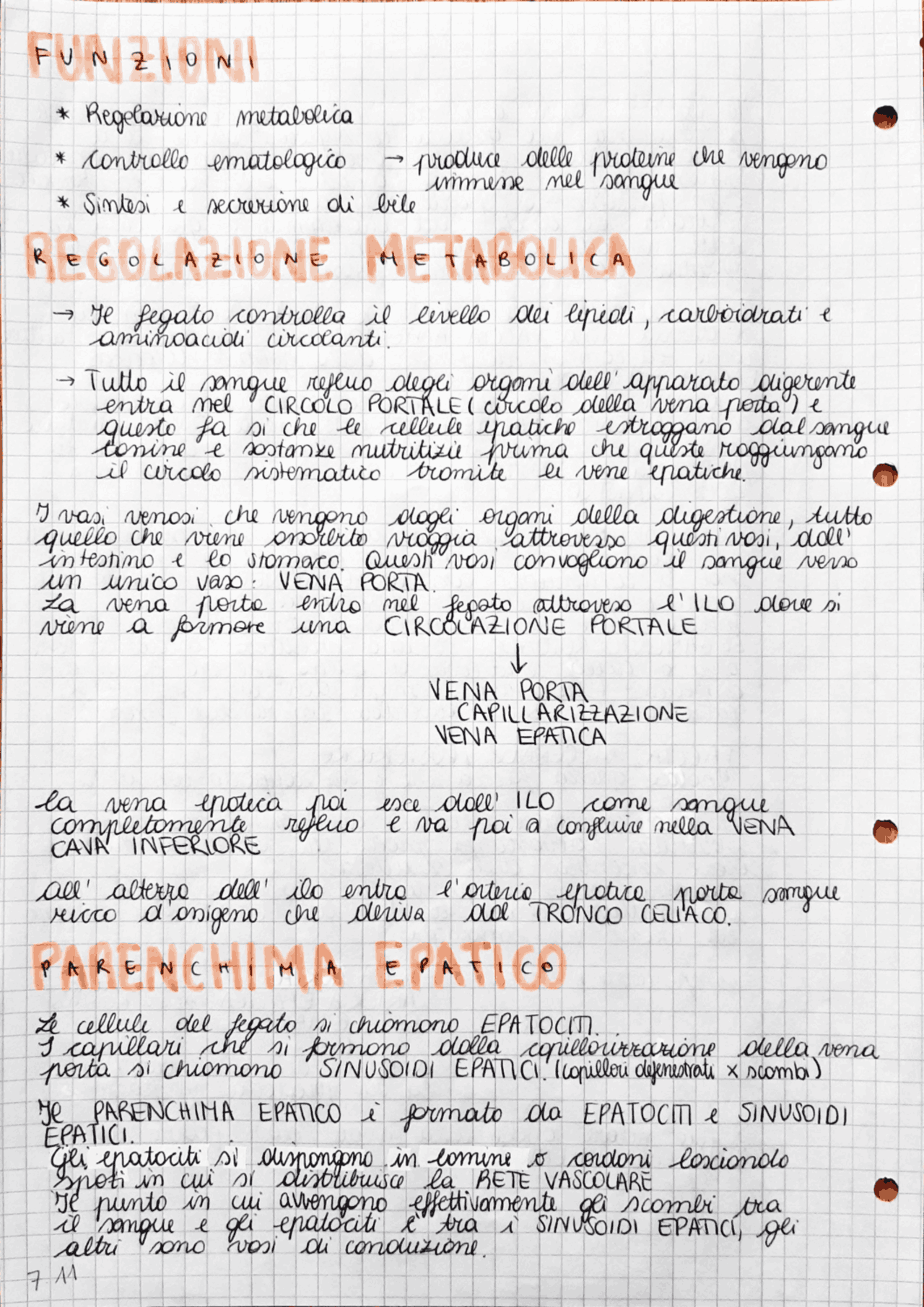 Appunti Anatomia I Terza Parte Laurea Scienze Motorie Docsity