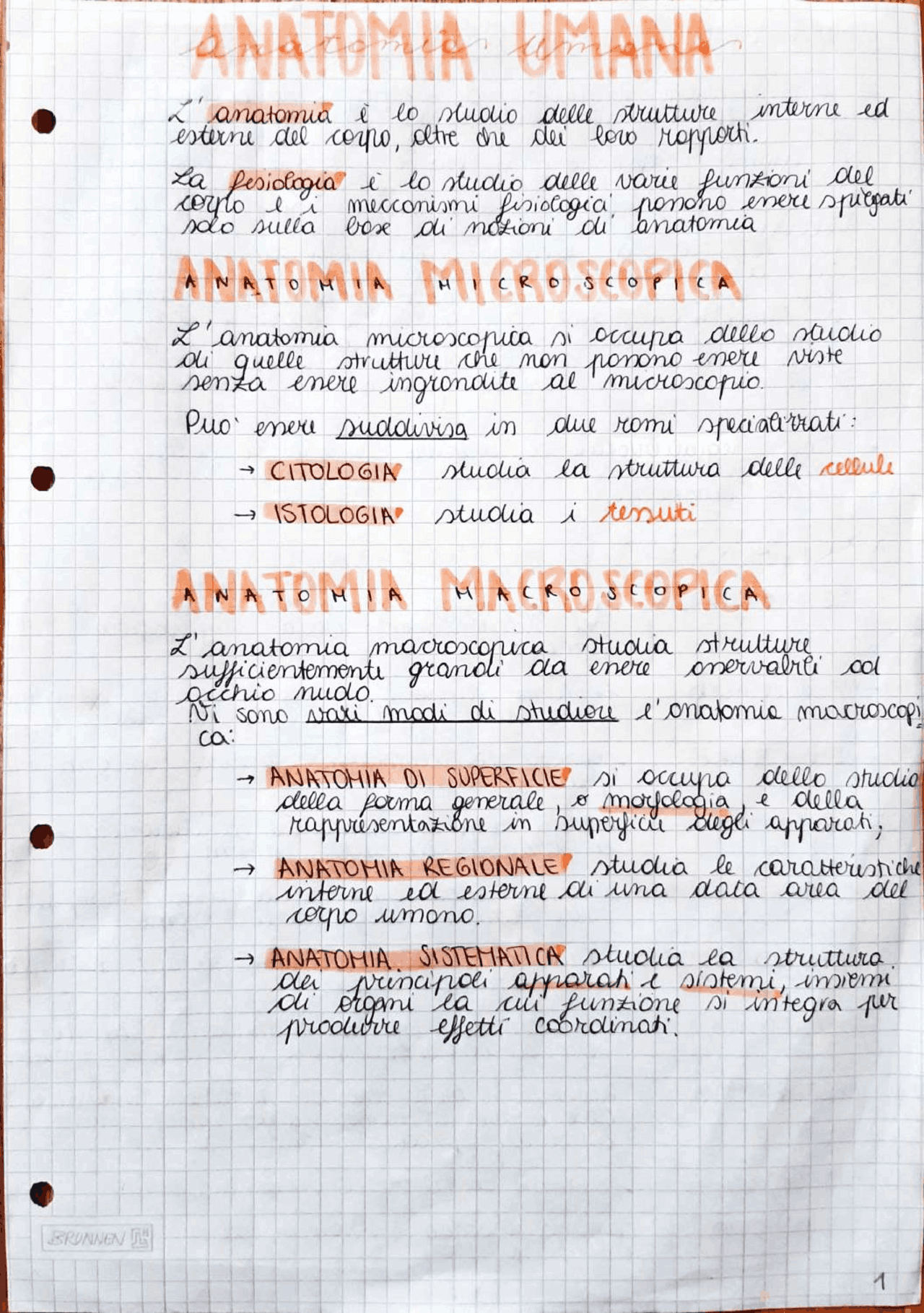 Appunti Di Anatomia I Laurea In Scienze Motorie Docsity