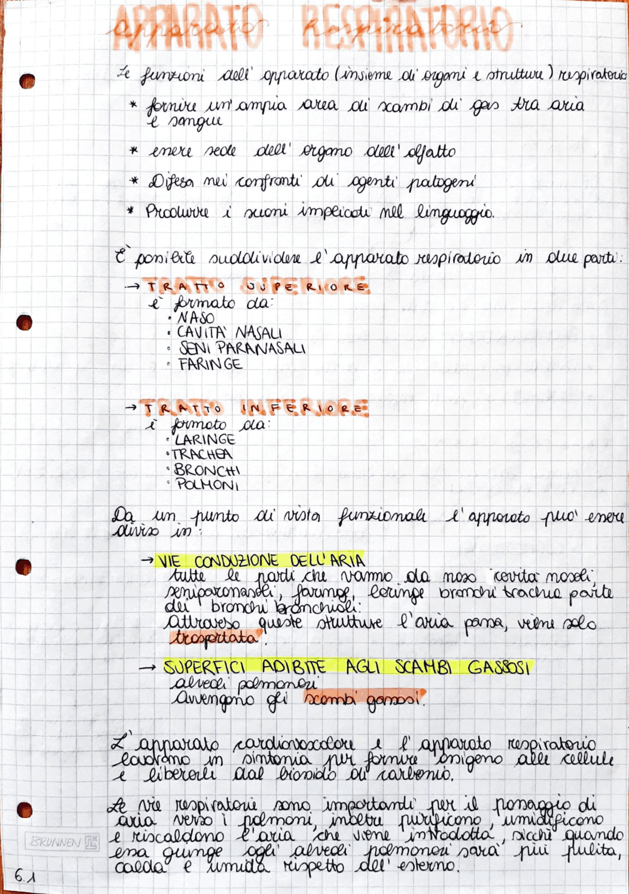 Appunti Apparato Respiratorio Docsity