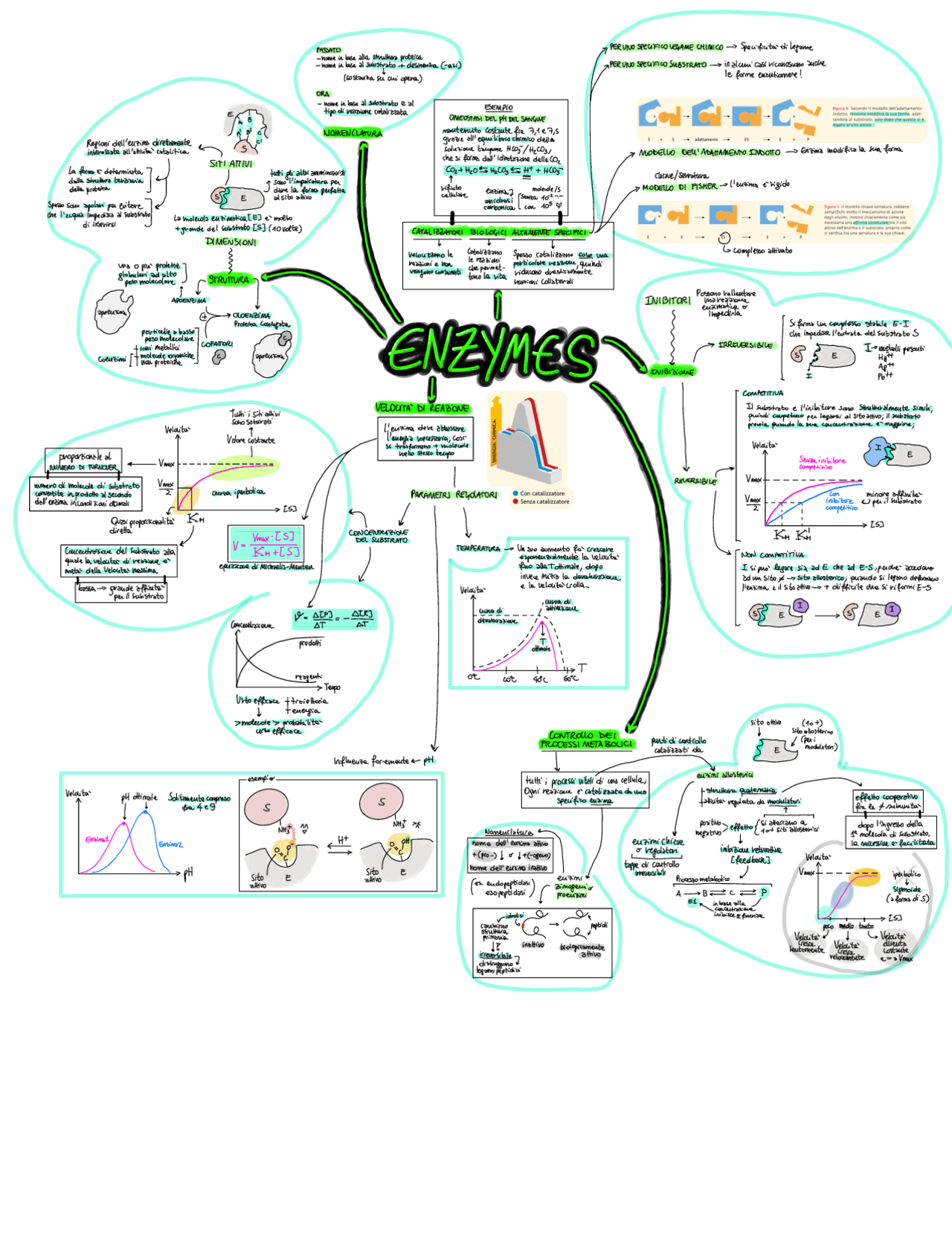 Mappa Enzimi Completa Docsity
