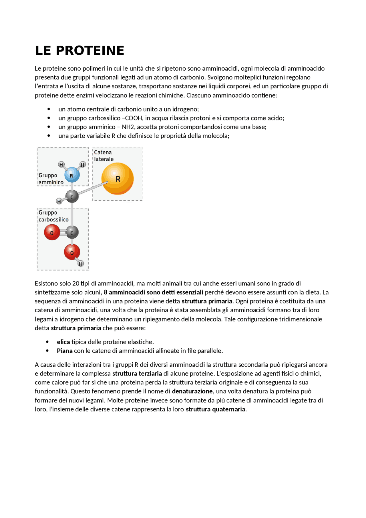 Le Proteine Sintesi Sintesi Del Corso Di Biologia Docsity