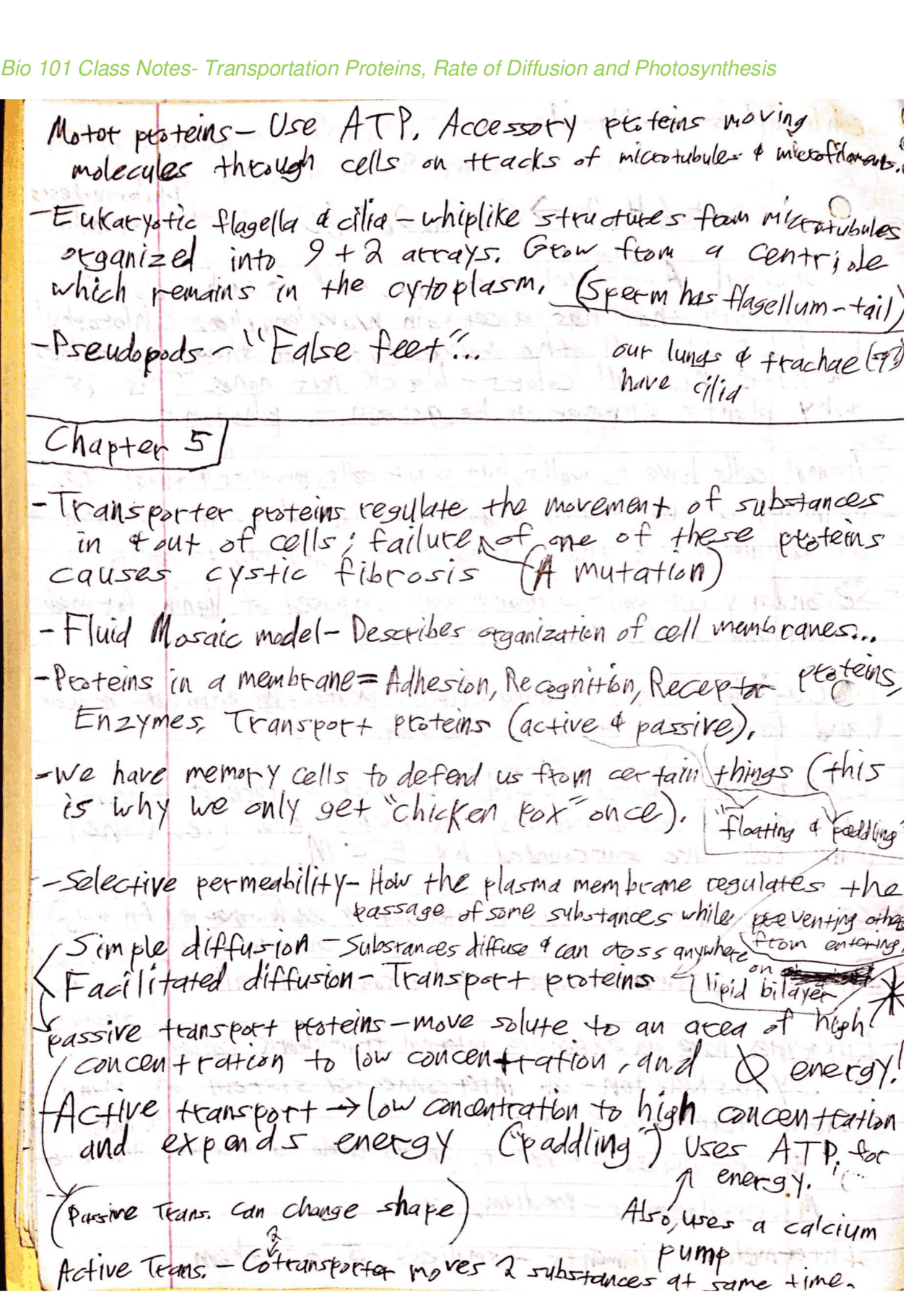 Bio 101 Class Notes- Transportation Proteins, Rate of Diffusion and ...