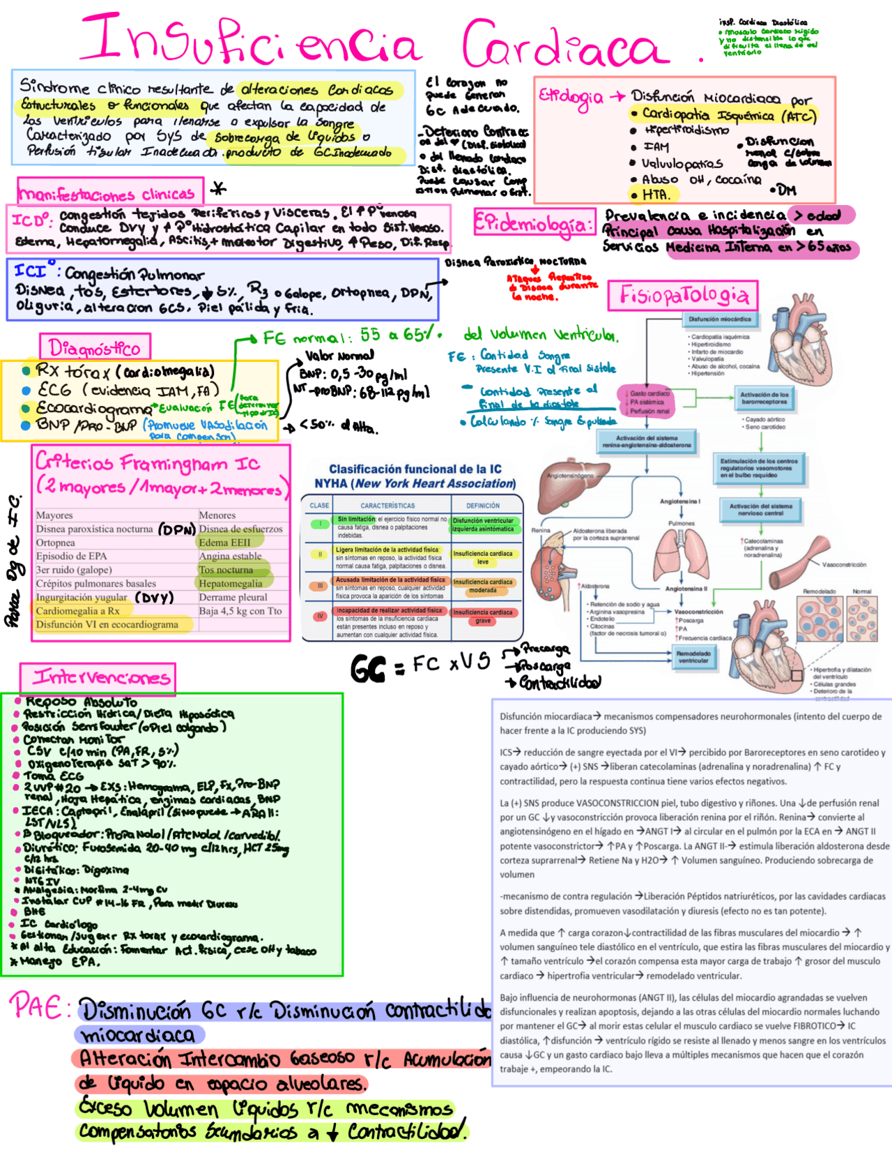 Resumen ACV ISQUEMICO | Esquemas y mapas conceptuales de Fisiopatología ...