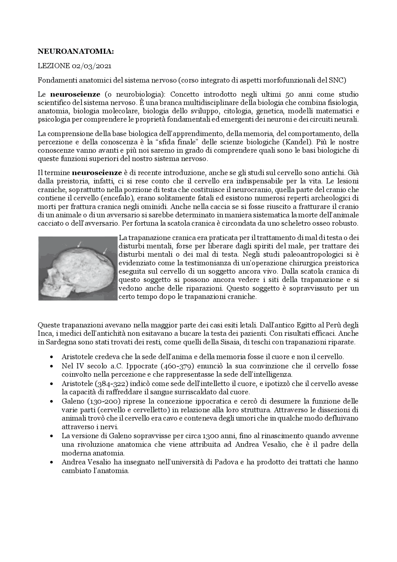 Neuroanatomia Lezione 1 Docsity