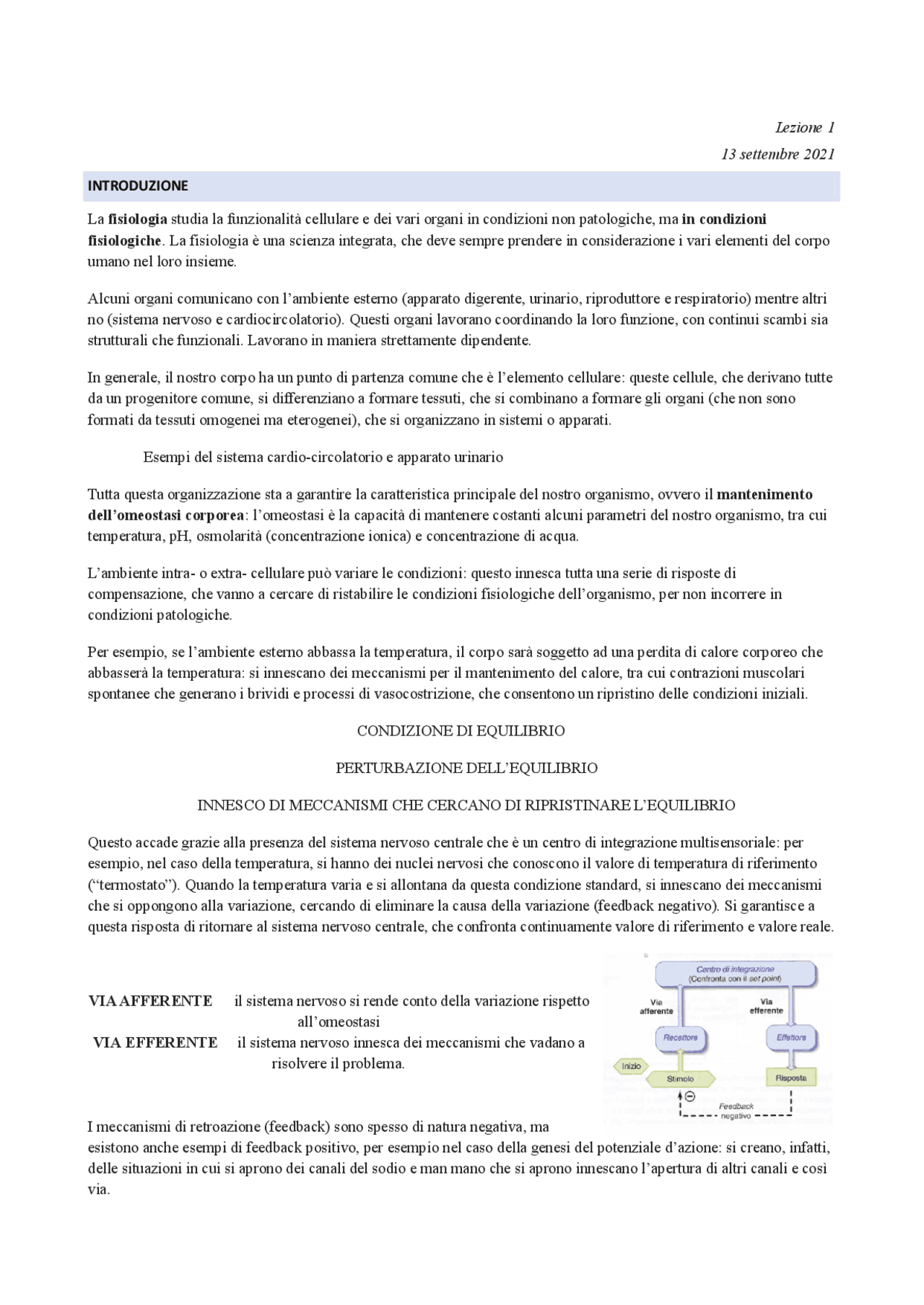 Introduzione Alla Fisiologia Umana Notes De Pysiologie Docsity