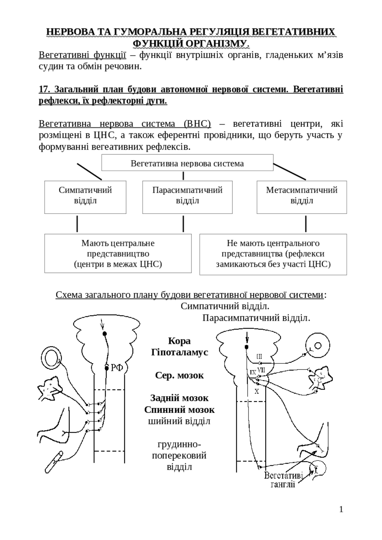 Нормальная Физиология человека гормоны Docsity