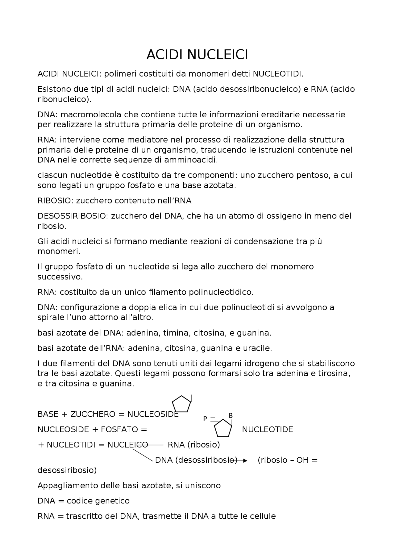 Acidi Nucleici Scienze Della Terra Docsity