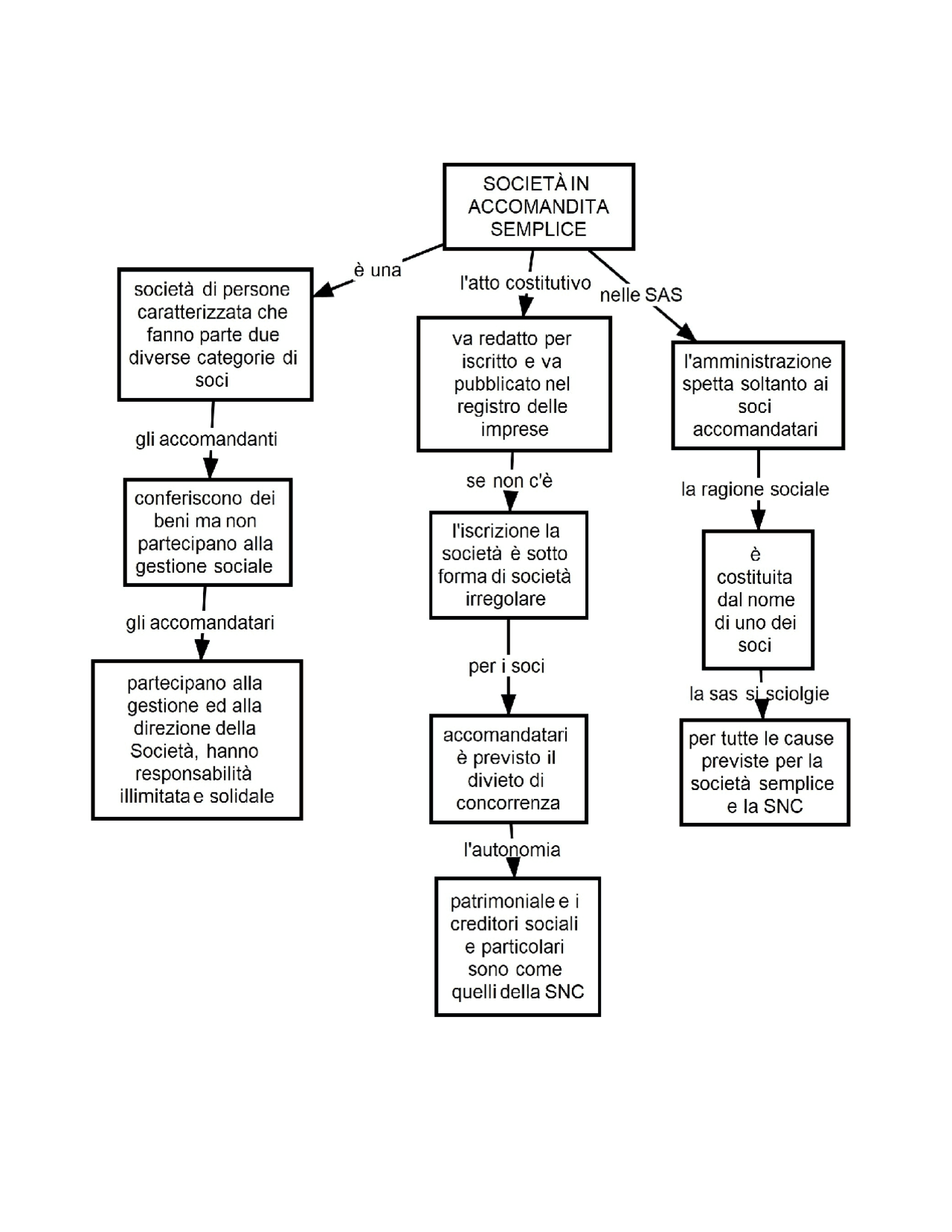 Società In Accomandita Semplice Docsity