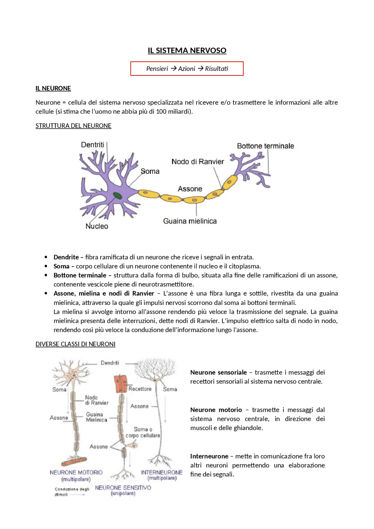 Psicologia Generale E Basi Neuro Cognitive Dellapprendimento Docsity