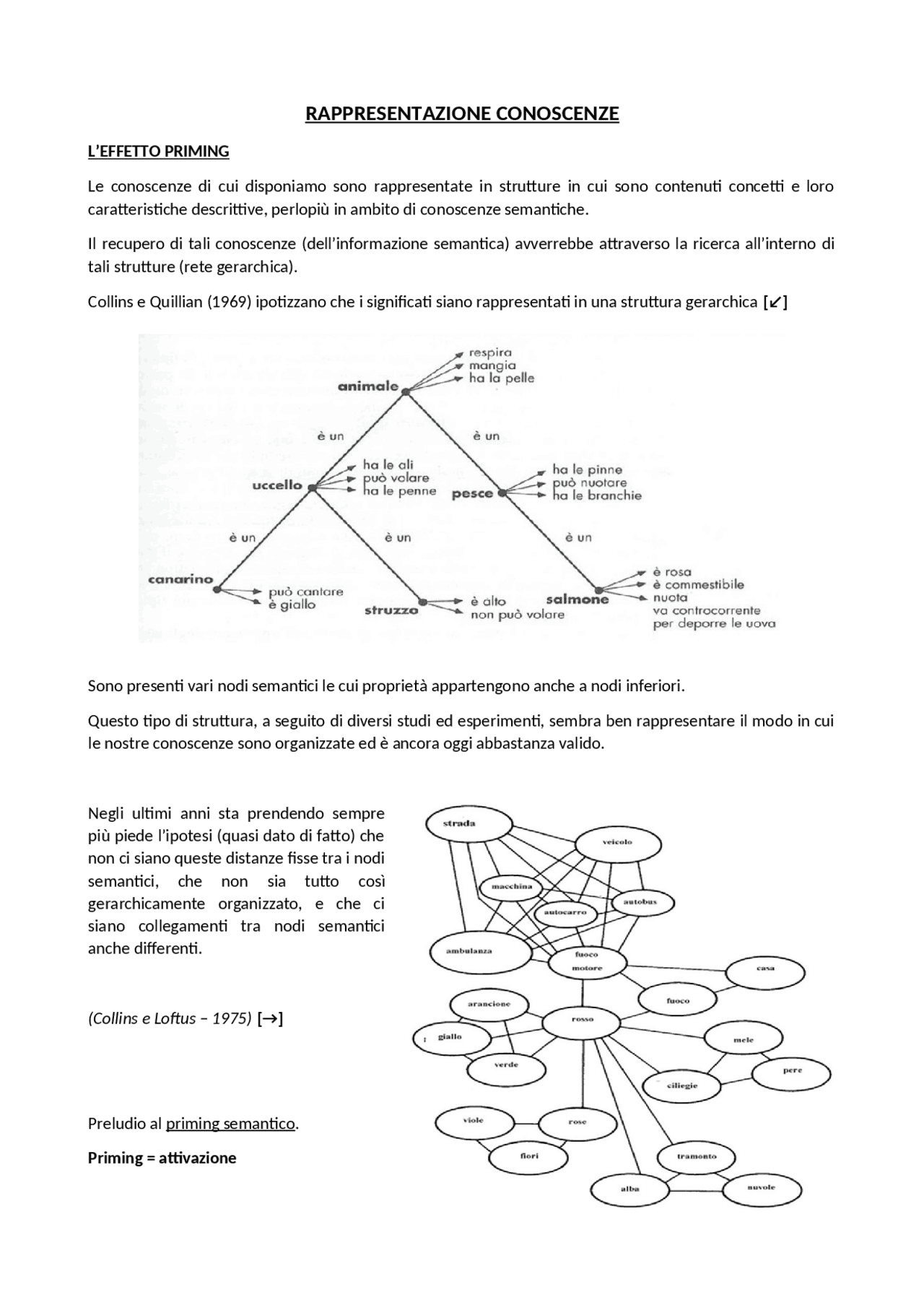 Psicologia Generale E Basi Neuro Cognitive Dellapprendimento Docsity