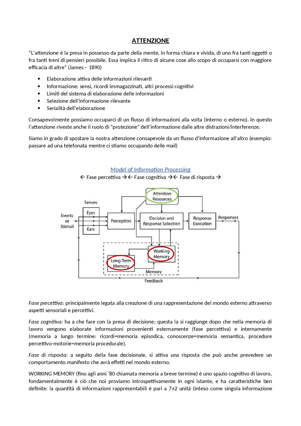 Psicologia Generale E Basi Neuro Cognitive Dellapprendimento Docsity
