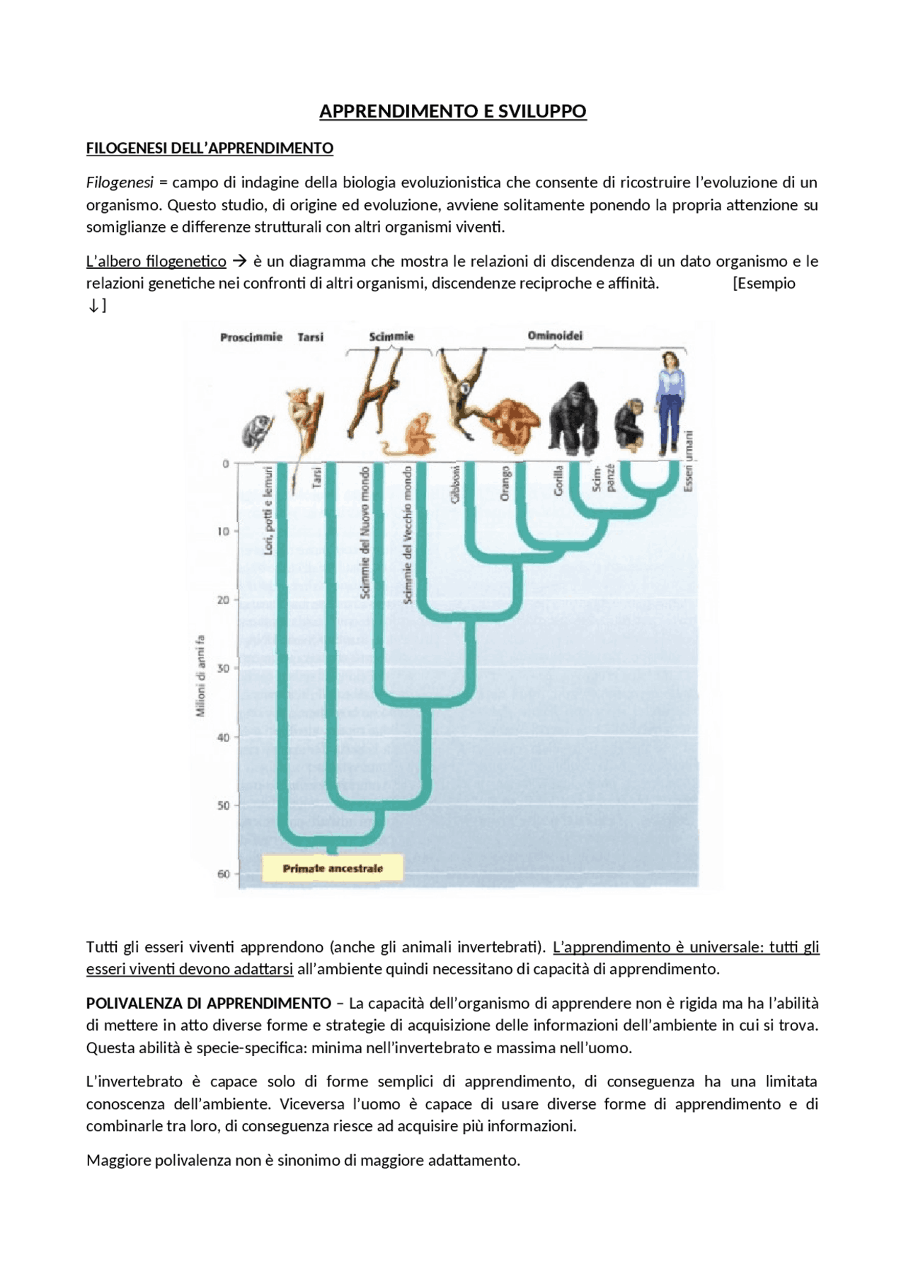 Psicologia Generale E Basi Neuro Cognitive Dellapprendimento Docsity