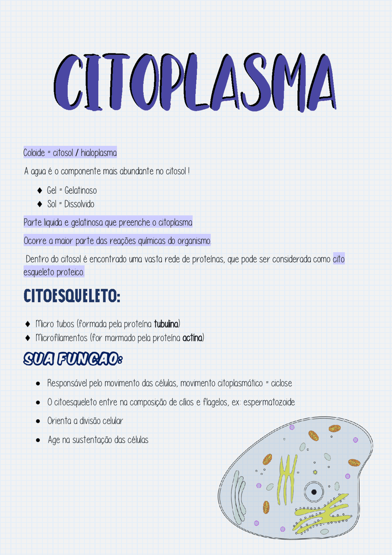 Resumo de Citoplasma - Docsity