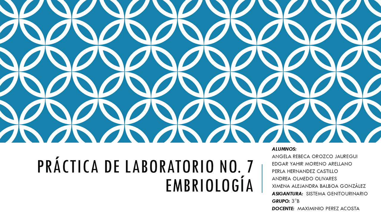 Practicas De Laboratorio Docsity