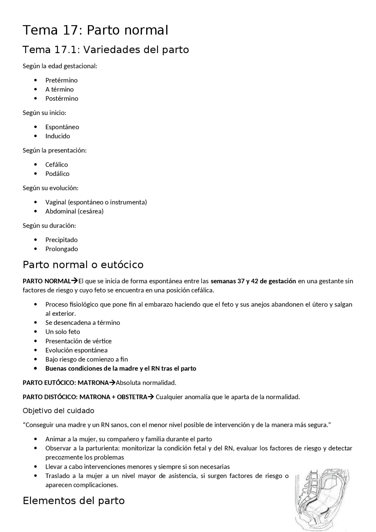 Parto normal y eutócico | Apuntes de Obstetricia | Docsity