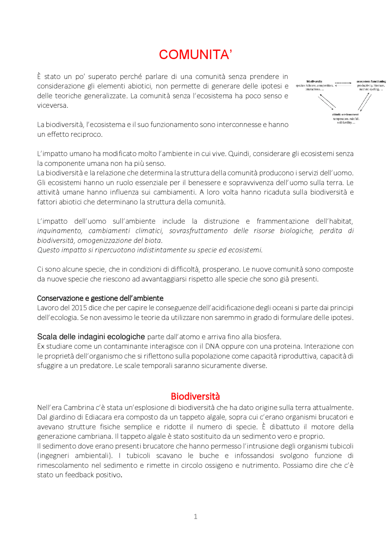 Comunità Ed Ecosistemi Bioevo Docsity