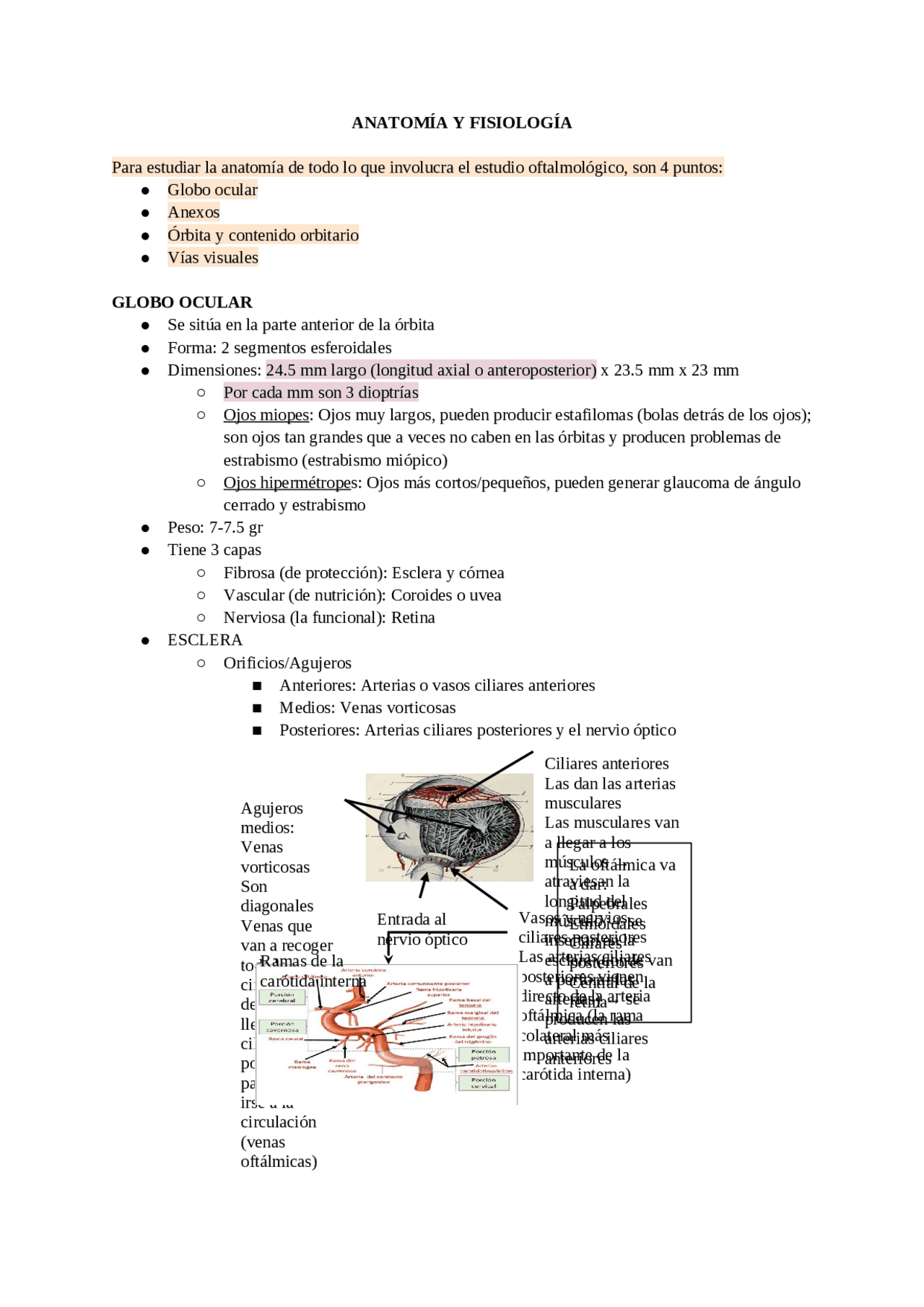 Anatomía Y Fisiología Oftalmología Docsity