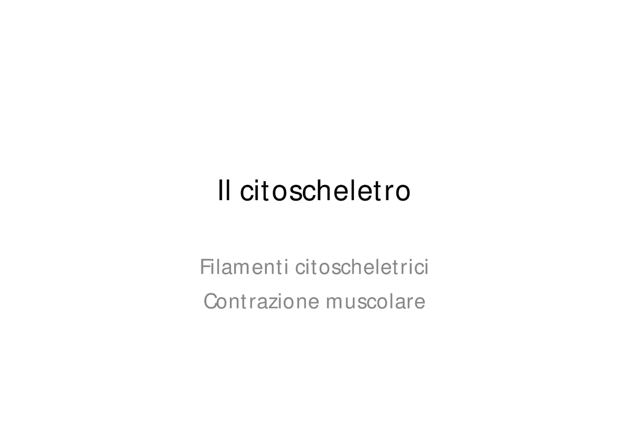 Il Citoscheletro: Filamenti Intermedi, Microtubuli, Actini e ...
