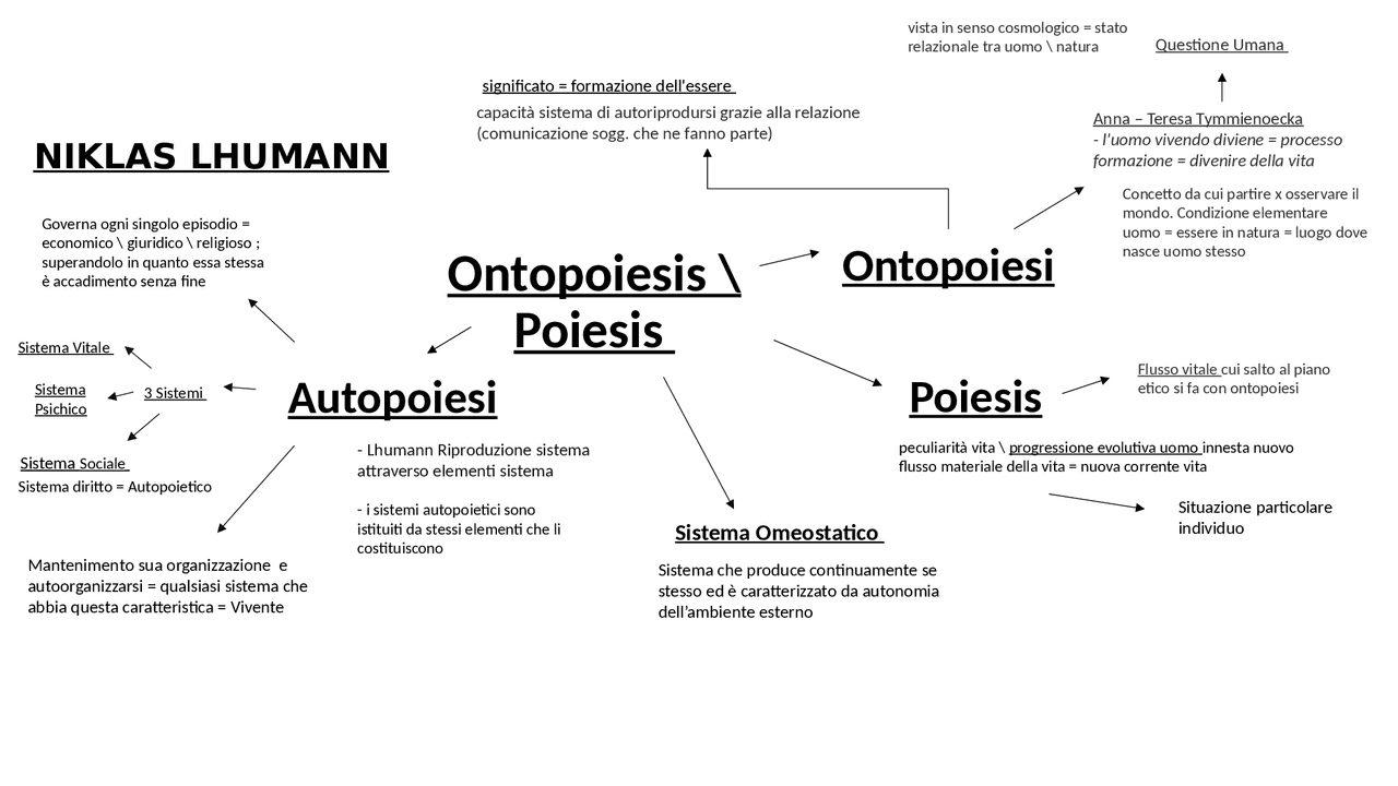 Niklas Luhmann Filosofia Del Diritto Schemi Schemi E Mappe